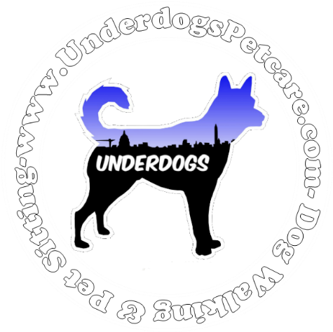 Download Underdogs Circle Logo Seal Banner - Funny Jack Russel PNG ...