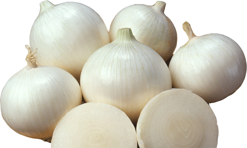 White Onion Png
