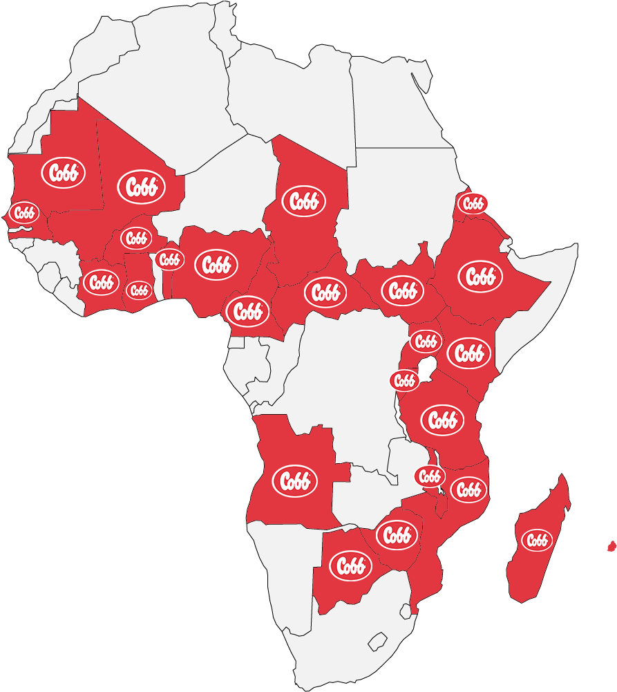 Download Within The Cobb Family We Have Our Own Cobb Africa - Atlas PNG ...