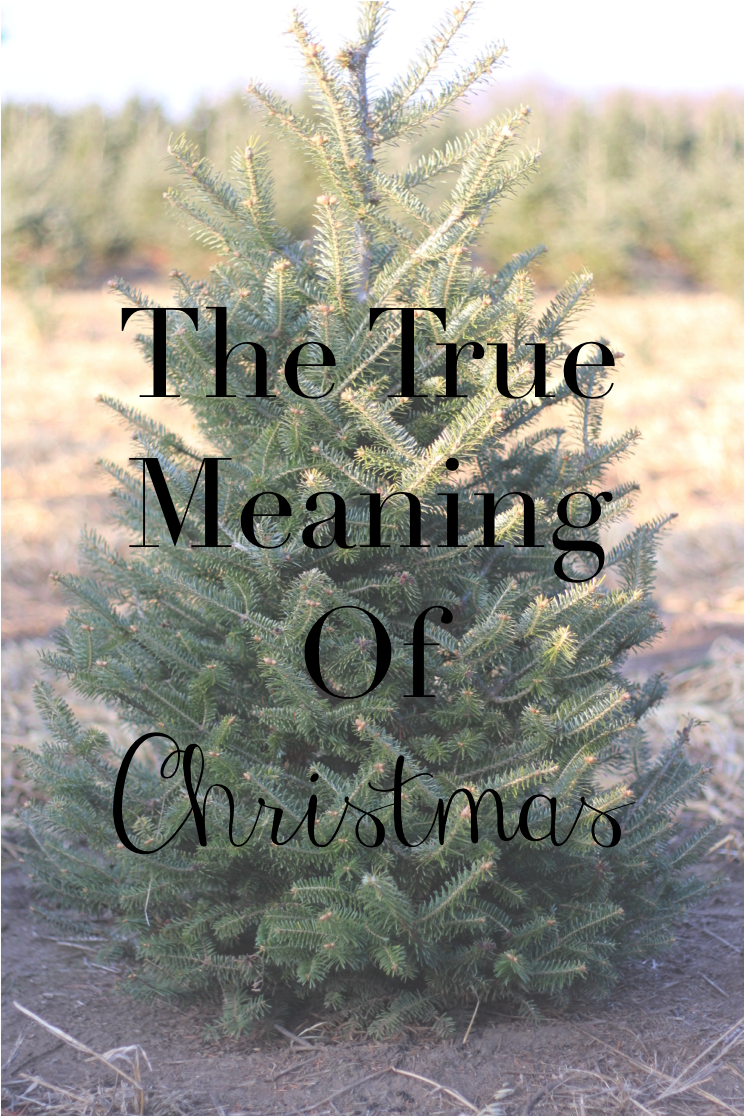 Download The True Meaning Of Christmas - Johnnyboyxo Touch Me PNG Image ...