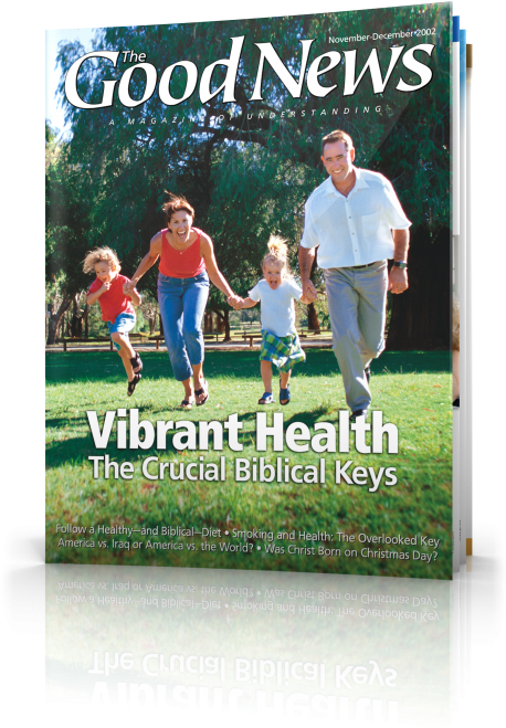 Download 2002 PNG Image with No Background - PNGkey.com