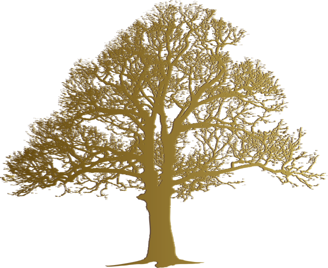 Argan Tree - Argan Tree Logo Png - Free Transparent PNG Download - PNGkey