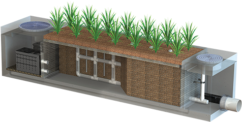 Download Modular Wetlands PNG Image with No Background - PNGkey.com