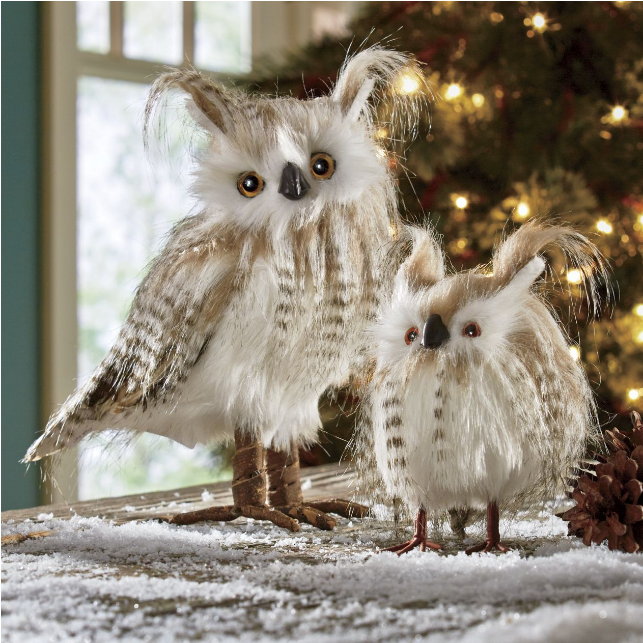 Download Set Of 2 Snowy Owls - Screech Owl PNG Image with No Background ...