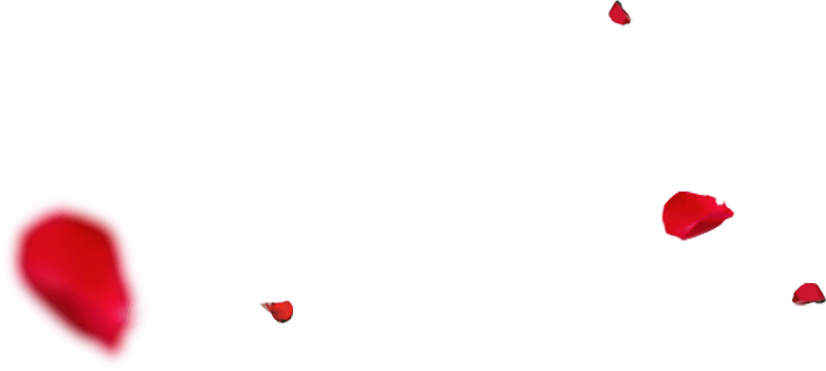 Download His Divine Eminence Lord Rariaz Gohar Shahi - One Rose Petal ...