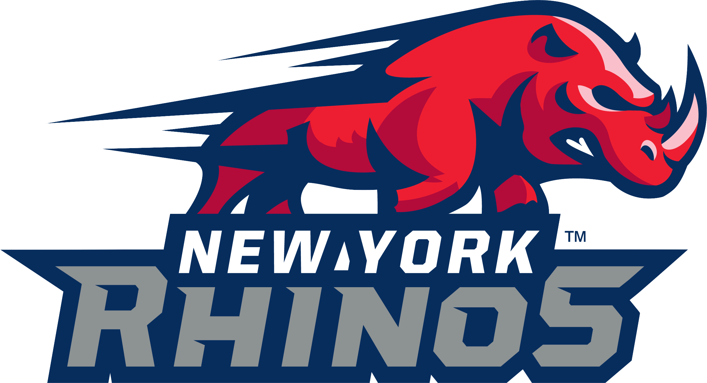 Download New York Rhinos Logo PNG Image with No Background - PNGkey.com