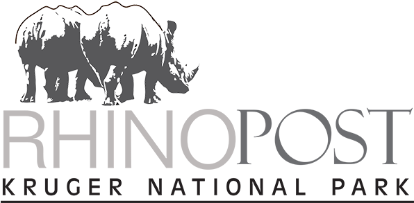 Download Rhino Post Drawing Logo - Black Rhinoceros PNG Image with No ...