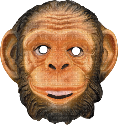 Download Monkey Mask - Mask Of A Monkey PNG Image with No Background ...