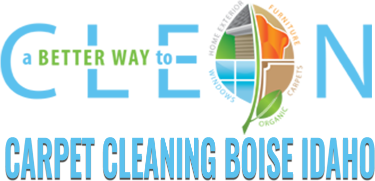 Download Carpet Cleaning Services Boise Idaho Logo - Idaho PNG Image ...