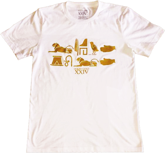 Download 3attach - Polish Princess Shirt PNG Image with No Background ...