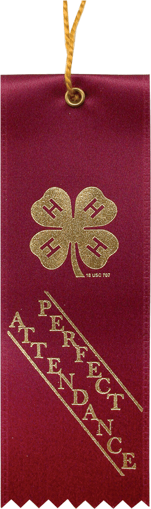 Download Dark Red Perfect Attendance Ribbon - Cross PNG Image with No ...