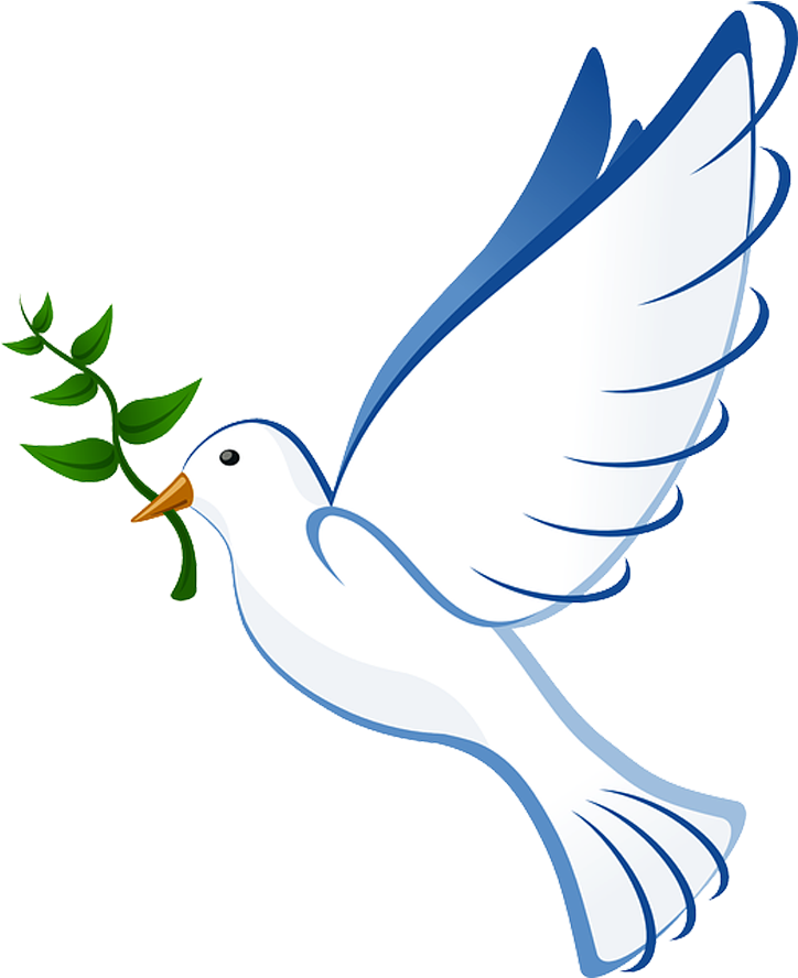 Pomba Branca Em Png - Paloma De La Paz Png - Free Transparent PNG ...