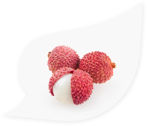 Download Lychee Png PNG Image with No Background - PNGkey.com