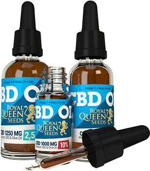 Download Cannabis Cbd Oil - Royal Queen Seeds Cbd Olie PNG Image with ...