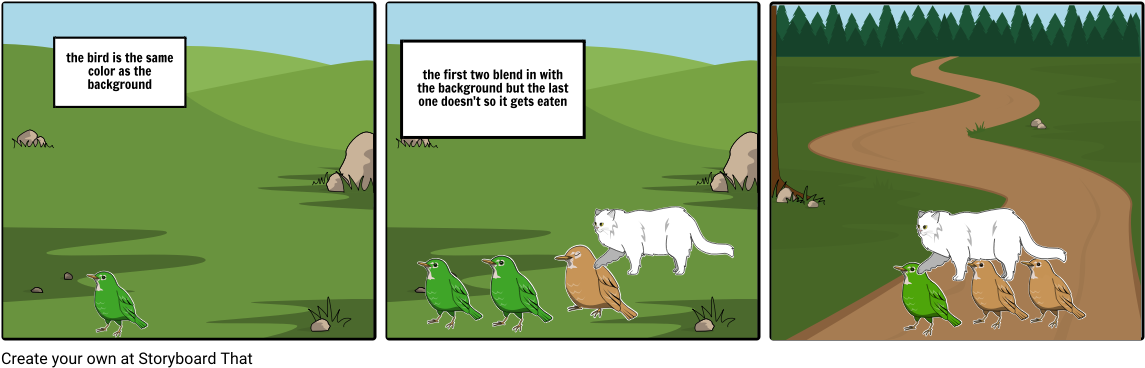 Natural Selection Drawing - Drawing - Free Transparent PNG Download ...