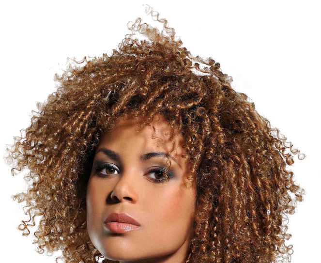 Download Classy Model Psd90116 - Mix Race Curly Hair PNG Image with No ...