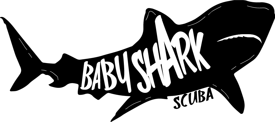 Baby Shark Scuba - Calligraphy - Free Transparent PNG Download - PNGkey