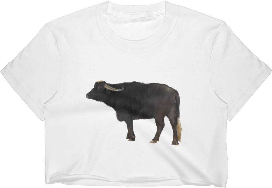 Download Water-buffalo Print Women's Crop Top - Follicular Fluid And ...