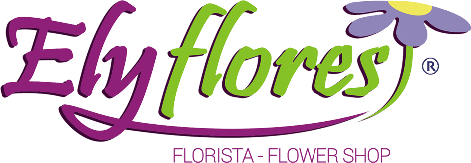 Download Ely Flores PNG Image with No Background - PNGkey.com