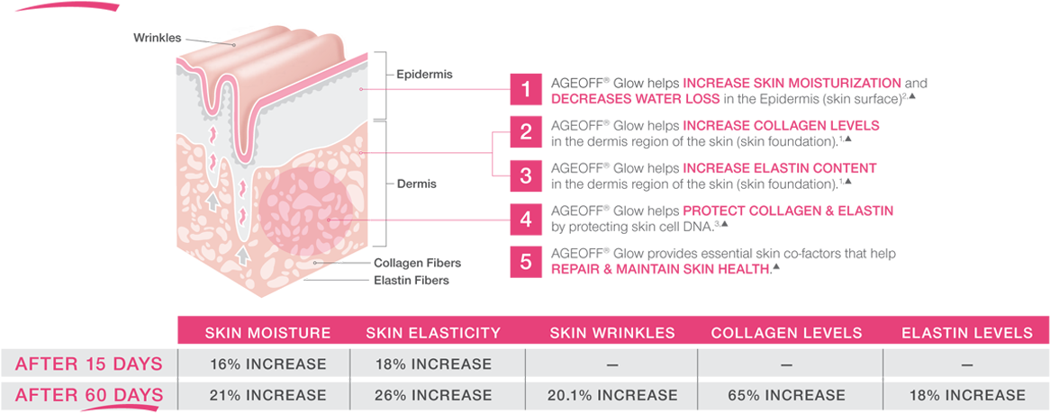 Download 5-steps To Delivering Flawless Skin - Diagram PNG Image with ...