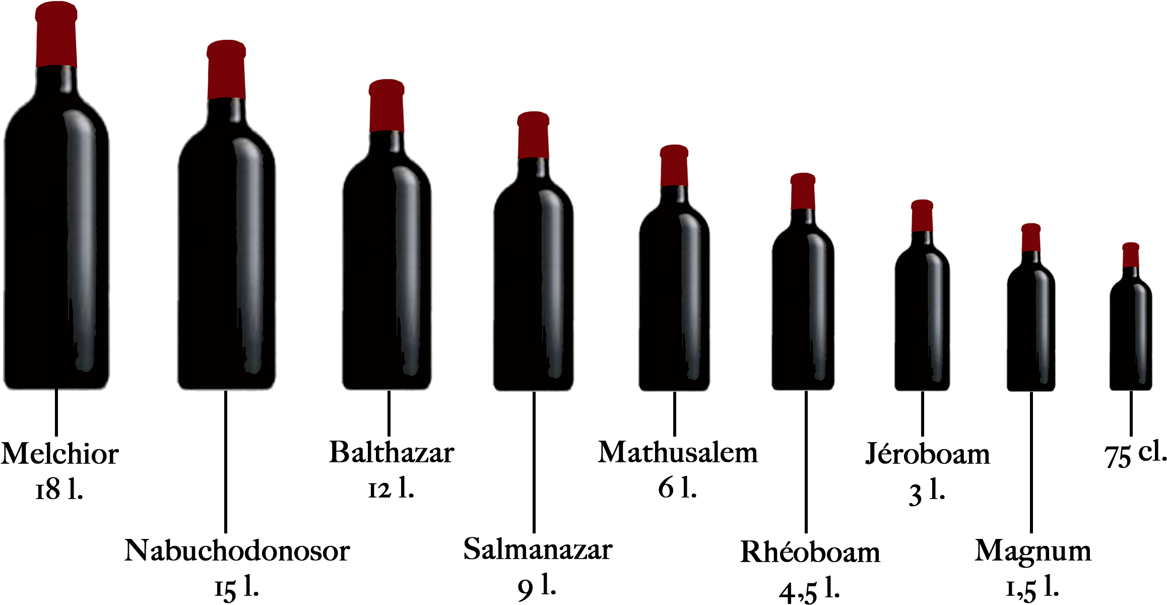 Download Media Botella 0,50 Litro - Botellas De Vino Tamaños PNG Image ...