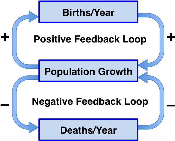 Feedback Loops Diagram - Positive Feedback Loop - Free Transparent PNG ...