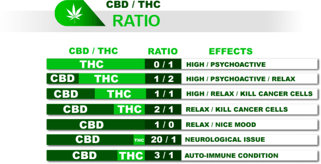 Download 'i Know All About Cbd, I Smoke It Everyday ' Wrong - Cbd Thc ...
