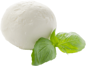 Download Mozzarella - Mozzarella Png PNG Image with No Background ...