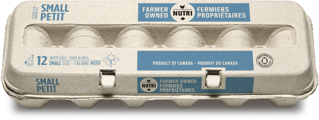 Download Small Brown Eggs - Commodity PNG Image with No Background ...