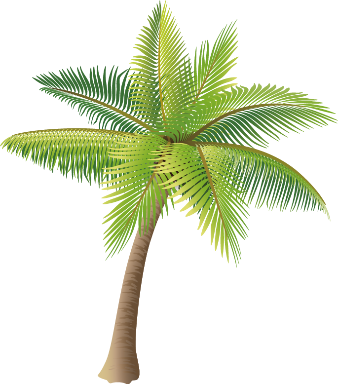 Download Coconut Tree Transparent Images - Coconut Tree Vector Png PNG ...