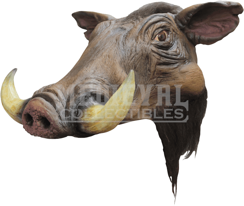 Download Wild Boar Costume Head Mask - Mask Helmet Wild Boar PNG Image ...