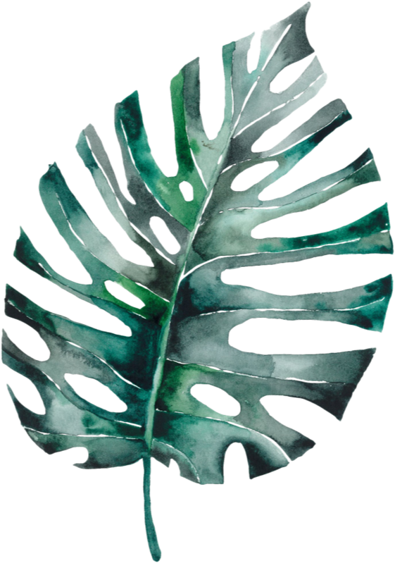 Download Png PNG Image with No Background - PNGkey.com