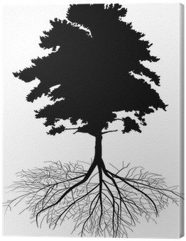 Download Pine Tree With Root Silhouette Canvas Print • Pixers ...
