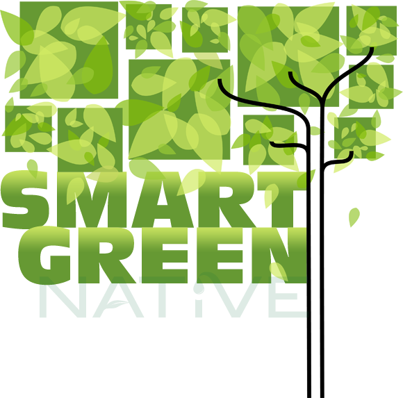 Download Smart Green “intelligent Efficiency” Offers New Source - Smart ...