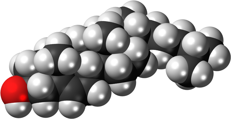 Download Cholesterol Not The Enemy - Cholesterol PNG Image with No ...