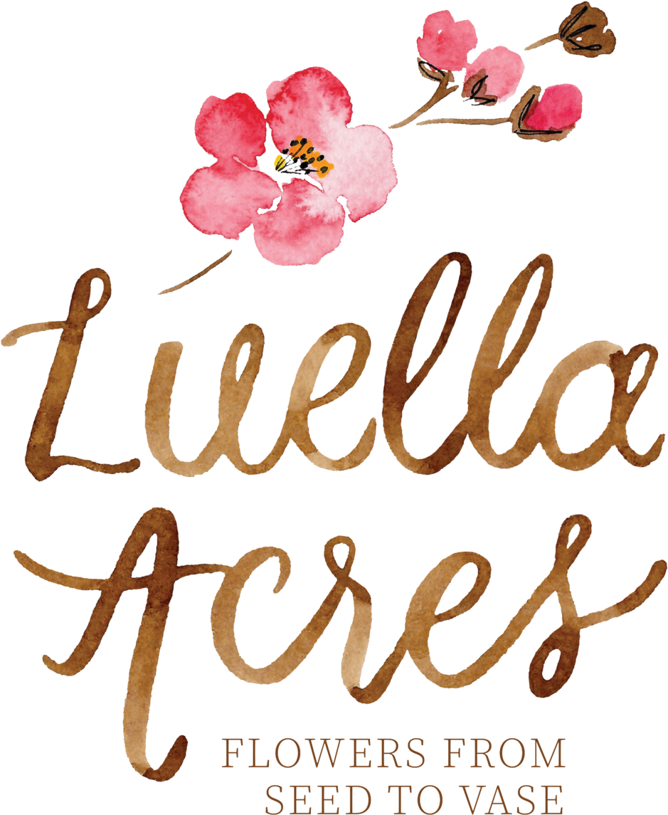 Download Luella Acres Logo Color 1800px Transparent - Calligraphy PNG ...