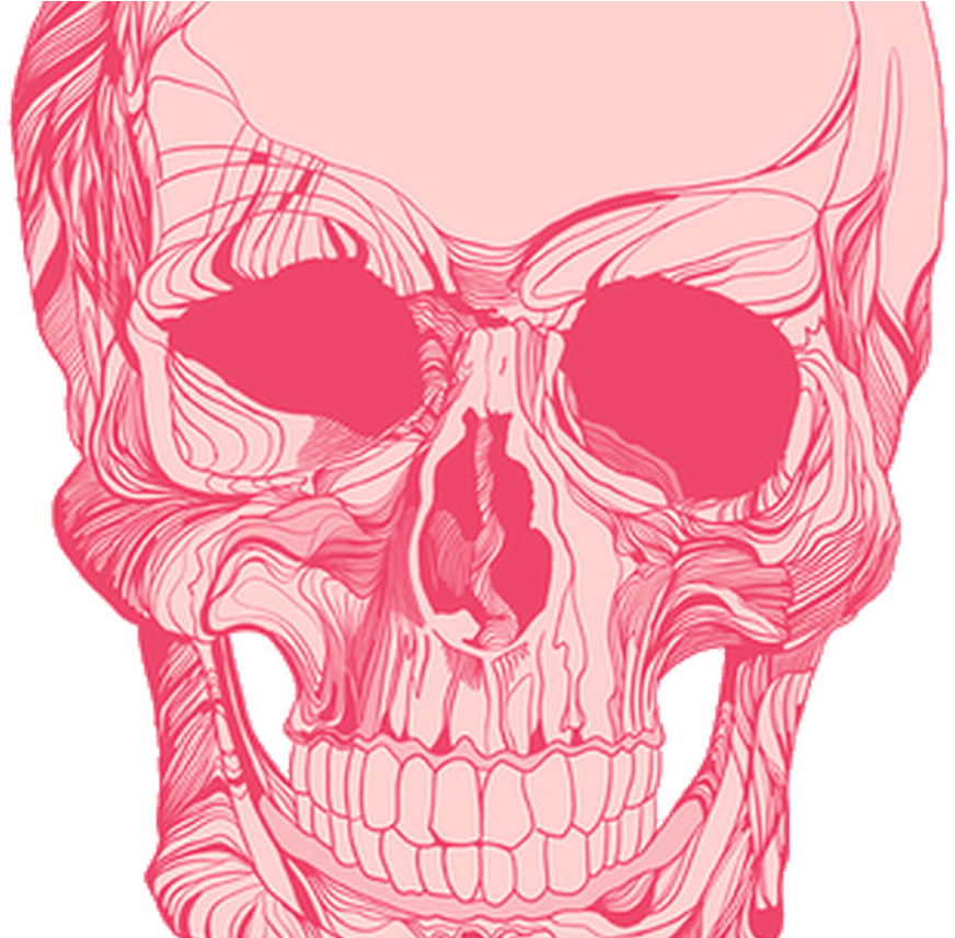 Download Pin By Marc Loresto On Skulls Pinterest Illustrations, - Pink ...