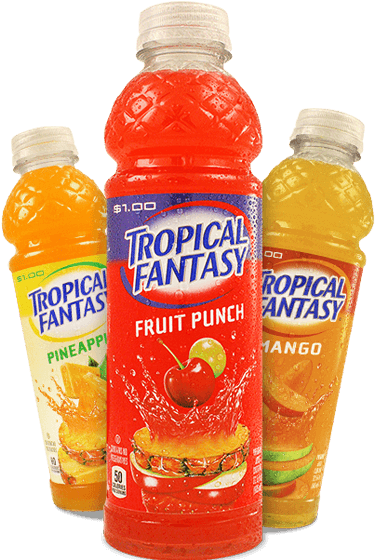 Download Tropical Fantasy PNG Image with No Background - PNGkey.com