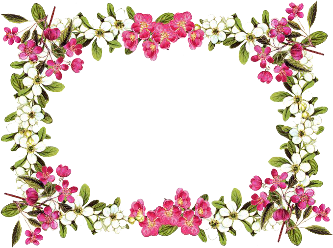 Download Flower Frame Png PNG Image with No Background - PNGkey.com
