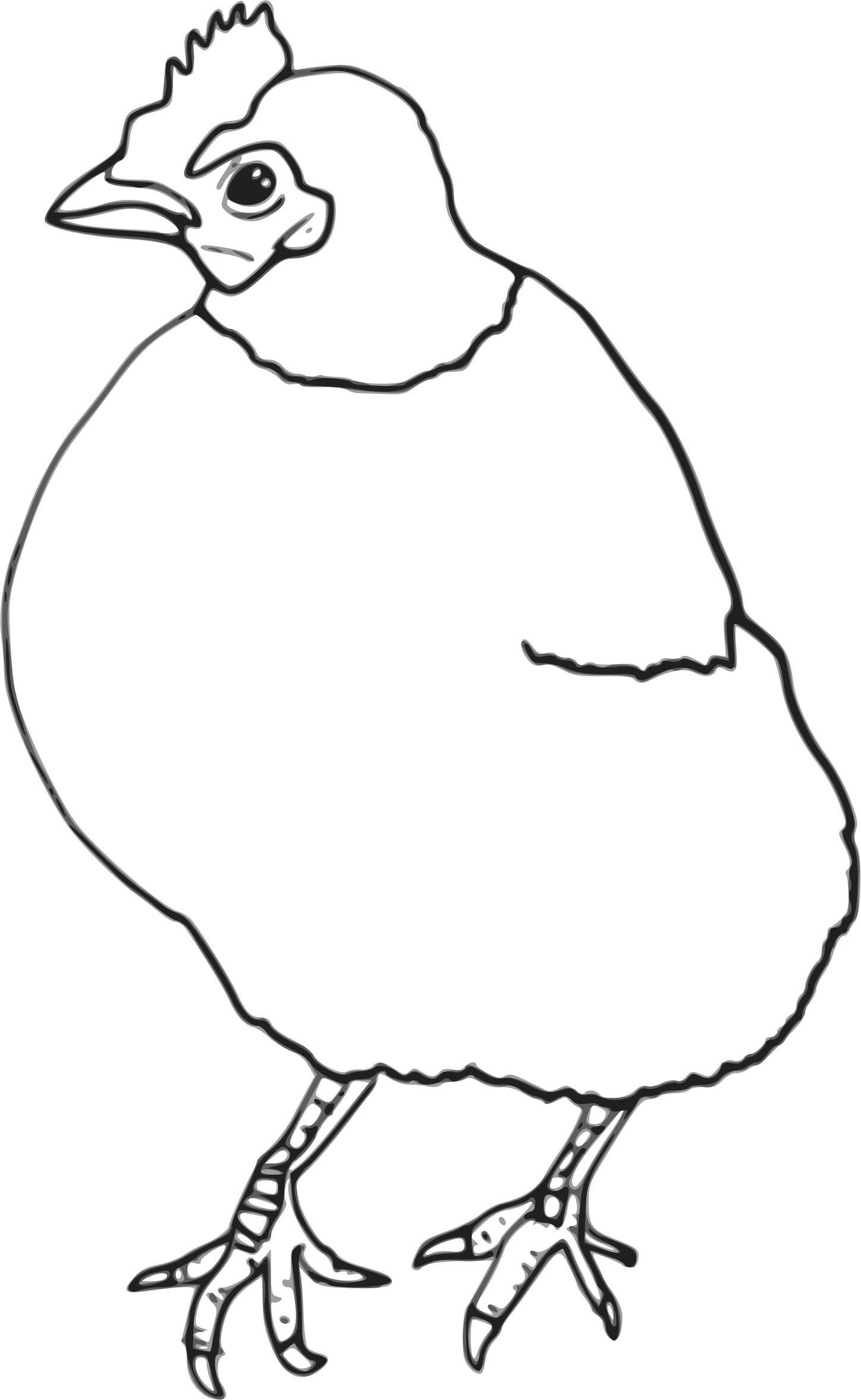 Chicken Drawing Outline - Chicken - Free Transparent PNG Download - PNGkey