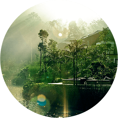 Forest Park And Crafted Landscape - Forest Circle Png - Free ...