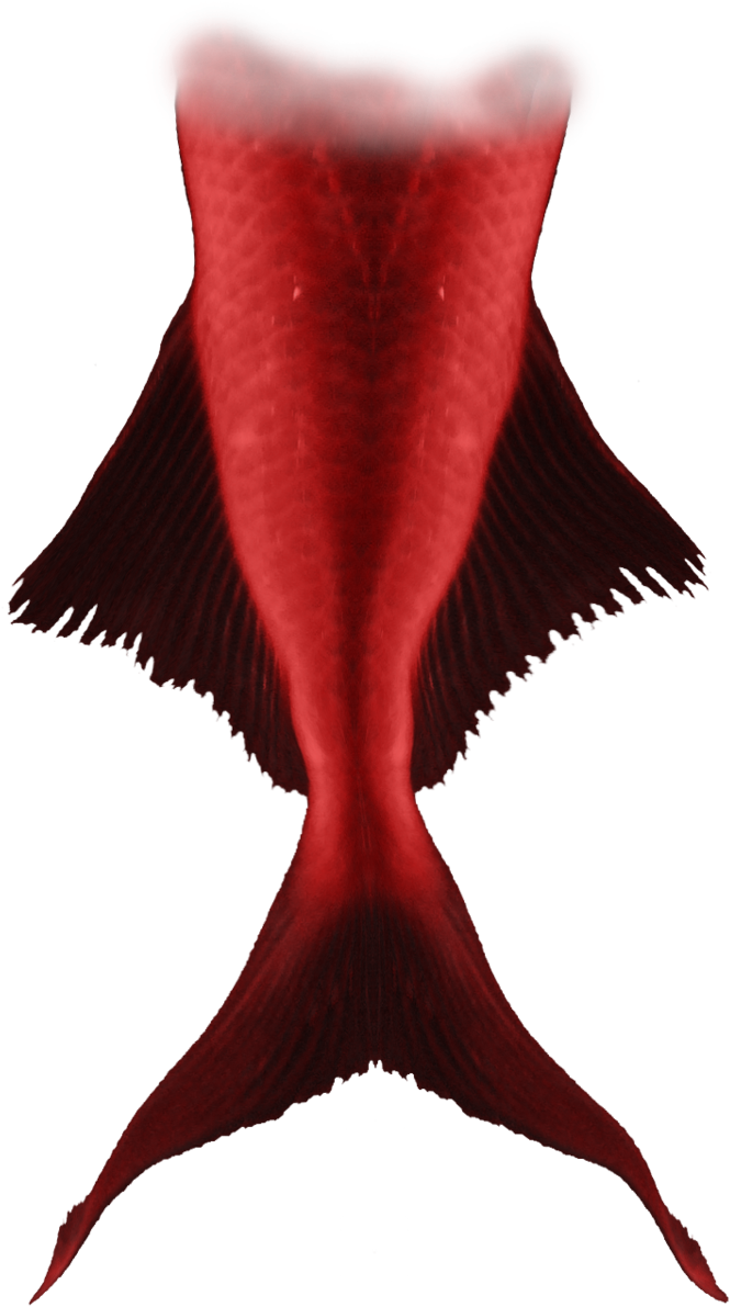 Download Red Merman Tail PNG Image with No Background - PNGkey.com