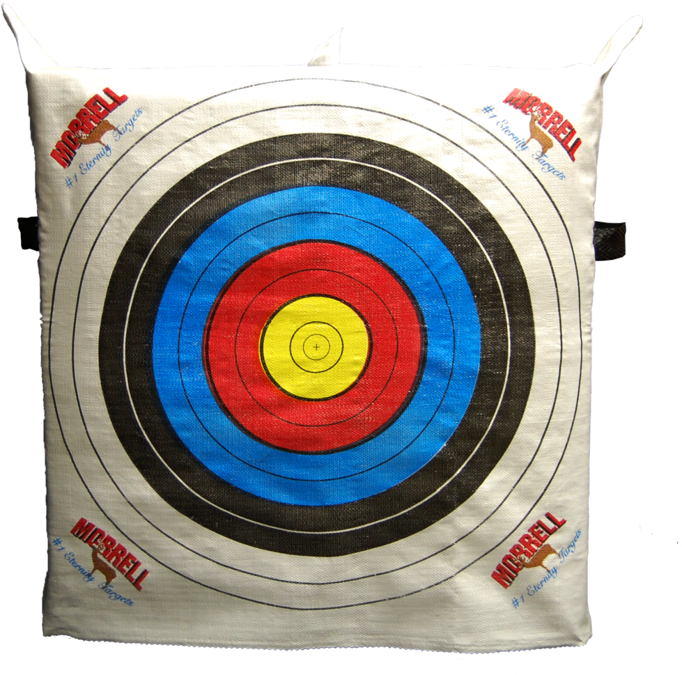 Download Official Nasp Eternity School Archery Target - Archery PNG ...