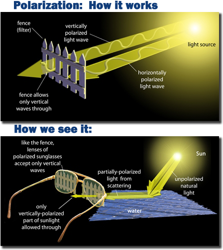 Download How Do Polarized Sunglasses Block Glare - Polarized Lenses ...