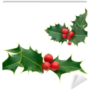 Download Holly Sprig PNG Image with No Background - PNGkey.com