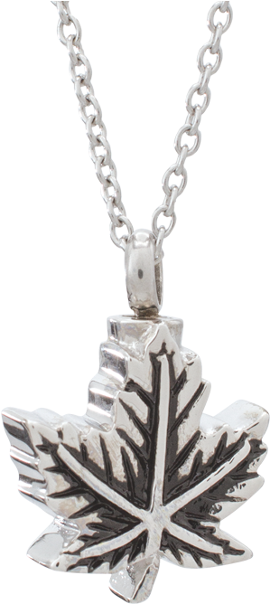 Download Necklace PNG Image with No Background - PNGkey.com