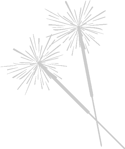 Bali Fireworks Services - Real White Firework Png - Free Transparent ...