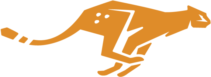 Cheetah Logo Png - Cheetah - Free Transparent PNG Download - PNGkey