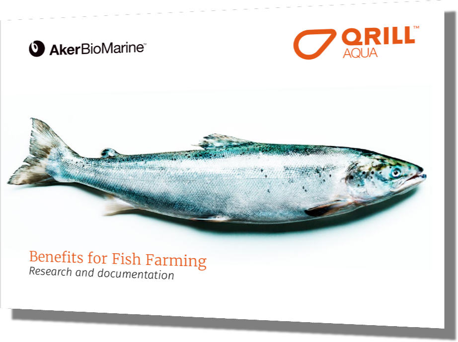 Download Fish Booklet - Fish PNG Image with No Background - PNGkey.com