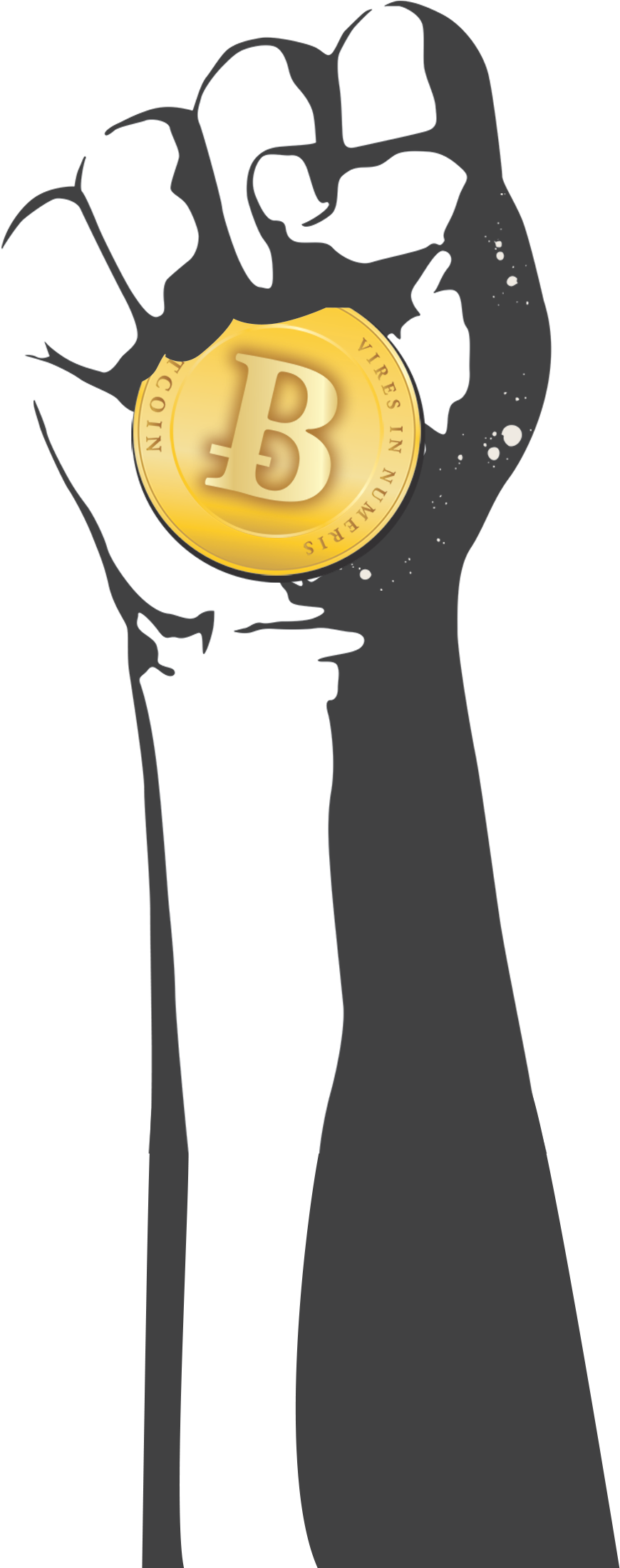 Download Rise And Rise Of Bitcoin PNG Image with No Background - PNGkey.com